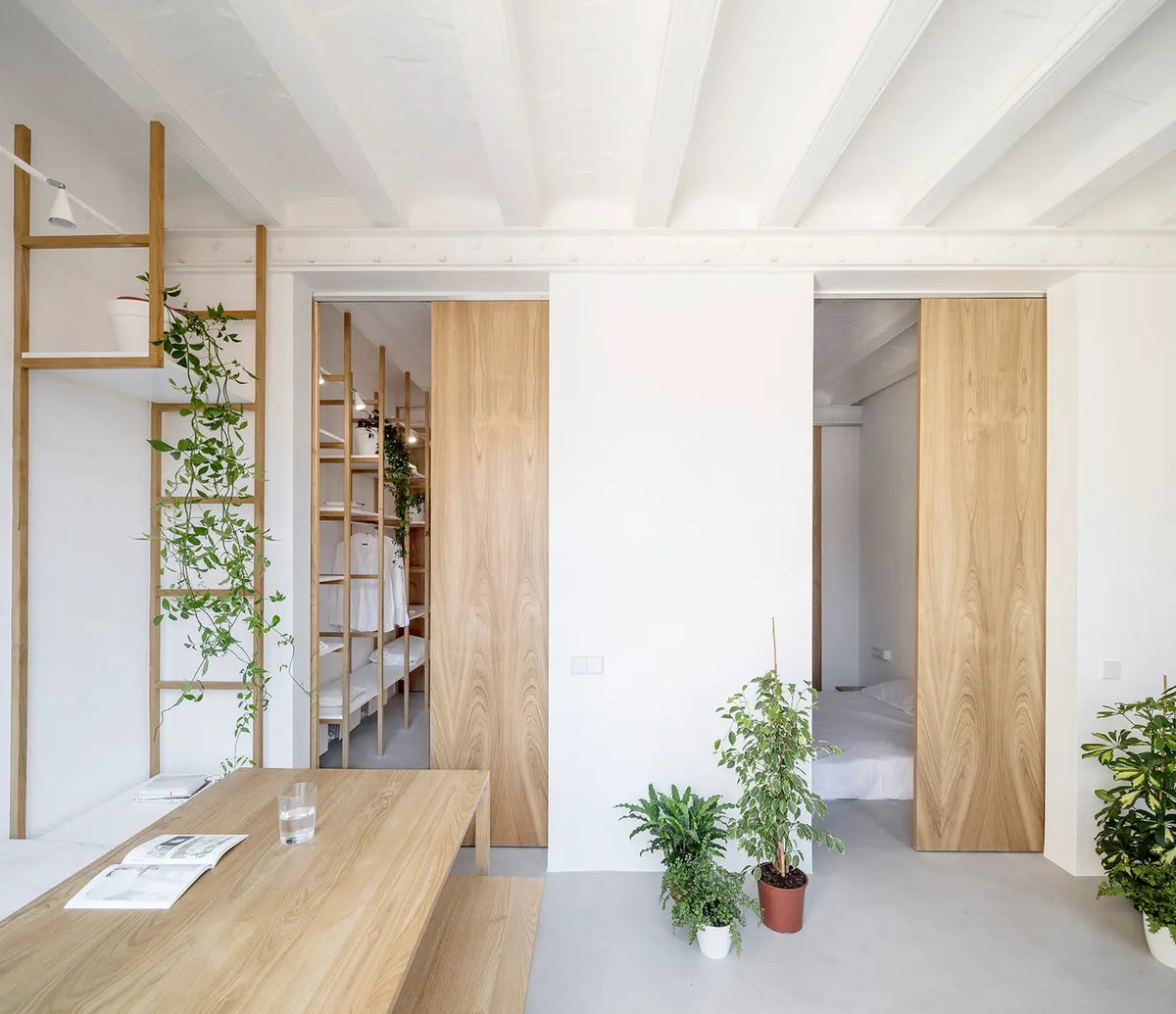 Lite T Sliding Pocket Door System — Ariel Door Gears Ltd.